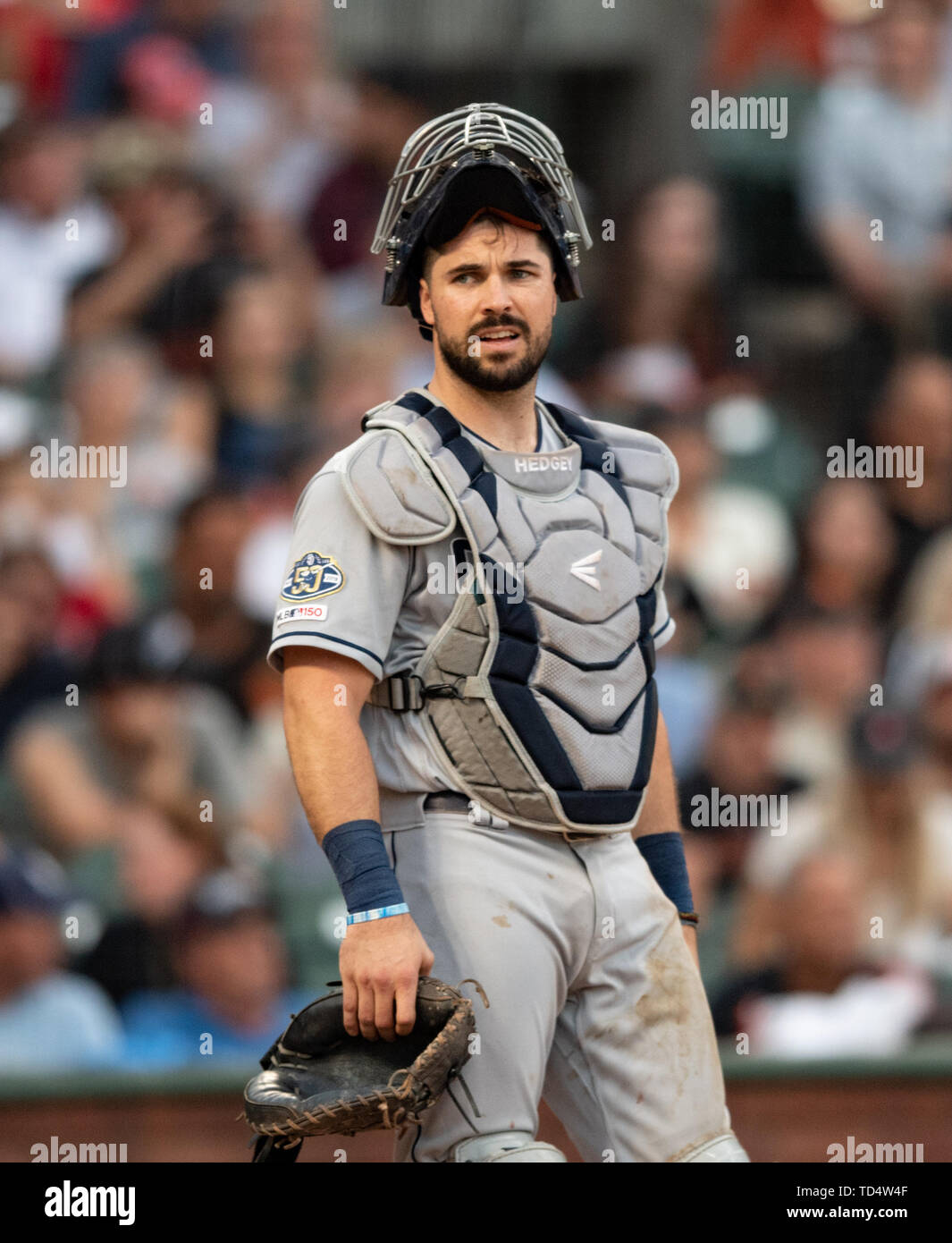Austin hedges hi-res stock photography and images - Alamy