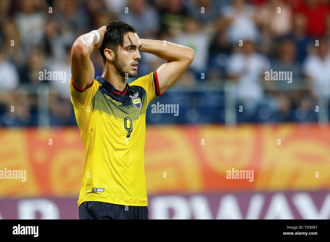 Leonardo campana hi-res stock photography and images - Alamy