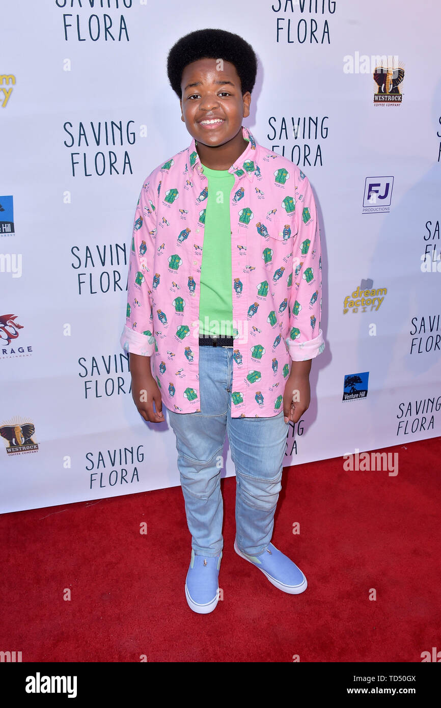 Keith L. Williams at the premiere of the movie 'Saving Flora' at the ...