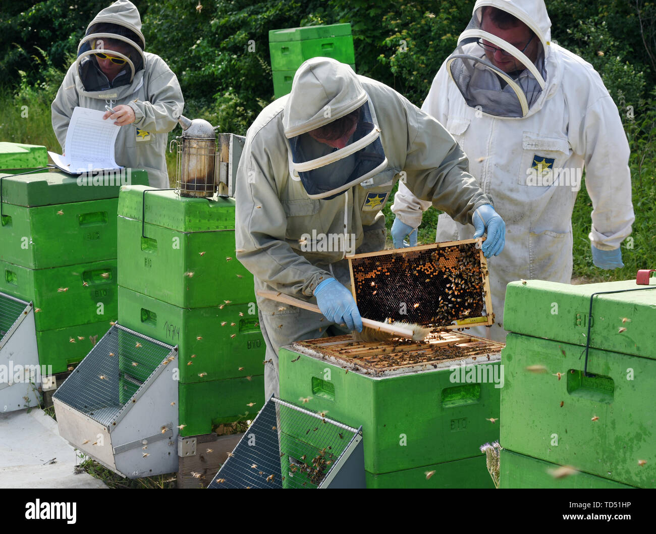 Biochem hi-res stock photography and images - Alamy