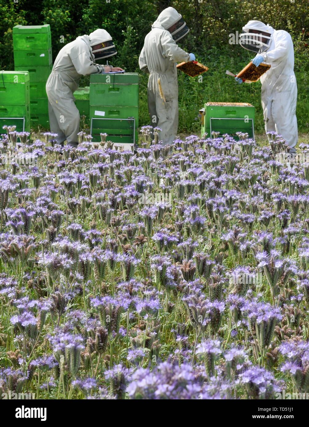 Biochem hi-res stock photography and images - Alamy