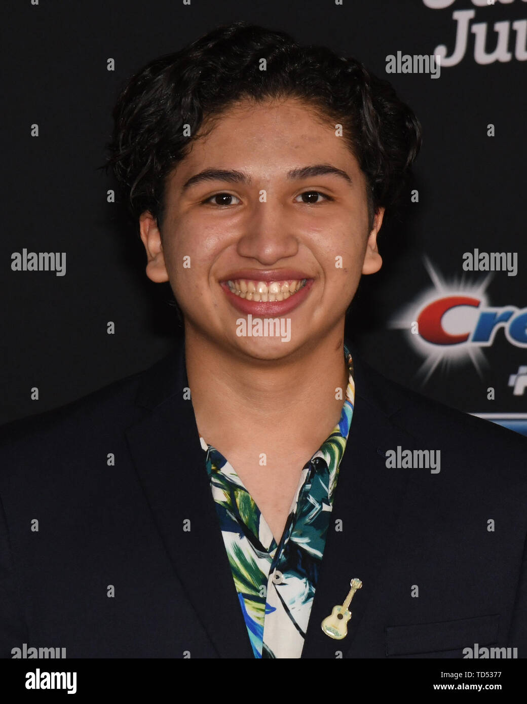 Hollywood, USA. 11th June, 2019. 12 June 2019 - Hollywood, California ...