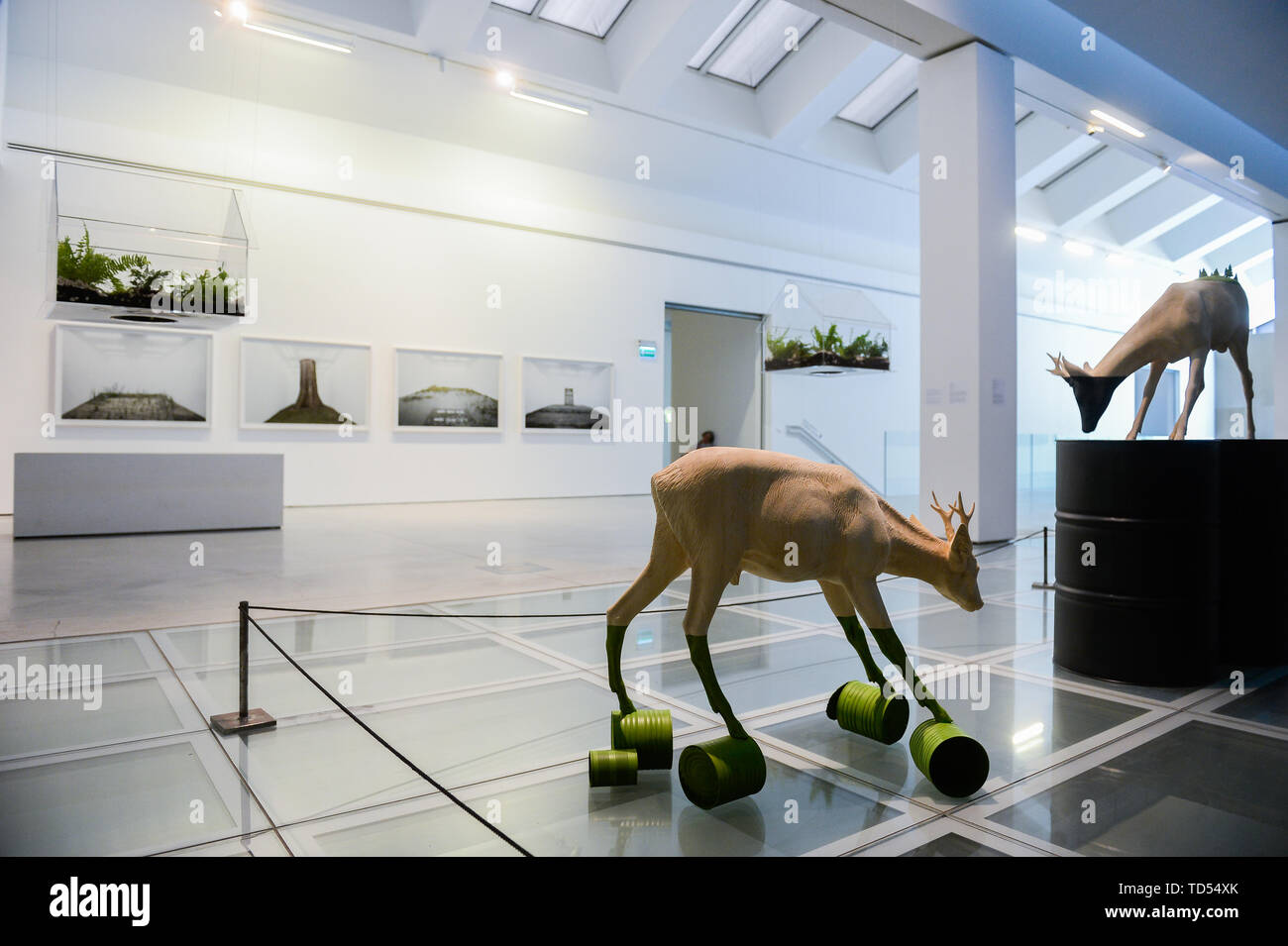Ecology art installation hi-res stock photography and images - Alamy