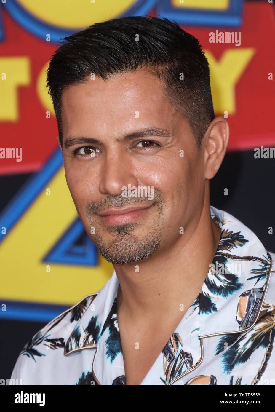 Hollywood, USA. 11th June, 2019. HOLLYWOOD, LOS ANGELES, CALIFORNIA ...