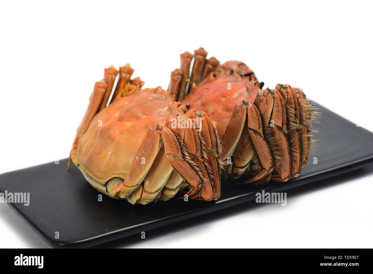 Crab hairy crabs Stock Photo - Alamy