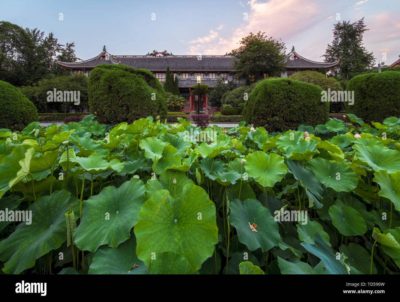 Teaching Building, Huaxi Campus, Sichuan University Stock Photo - Alamy
