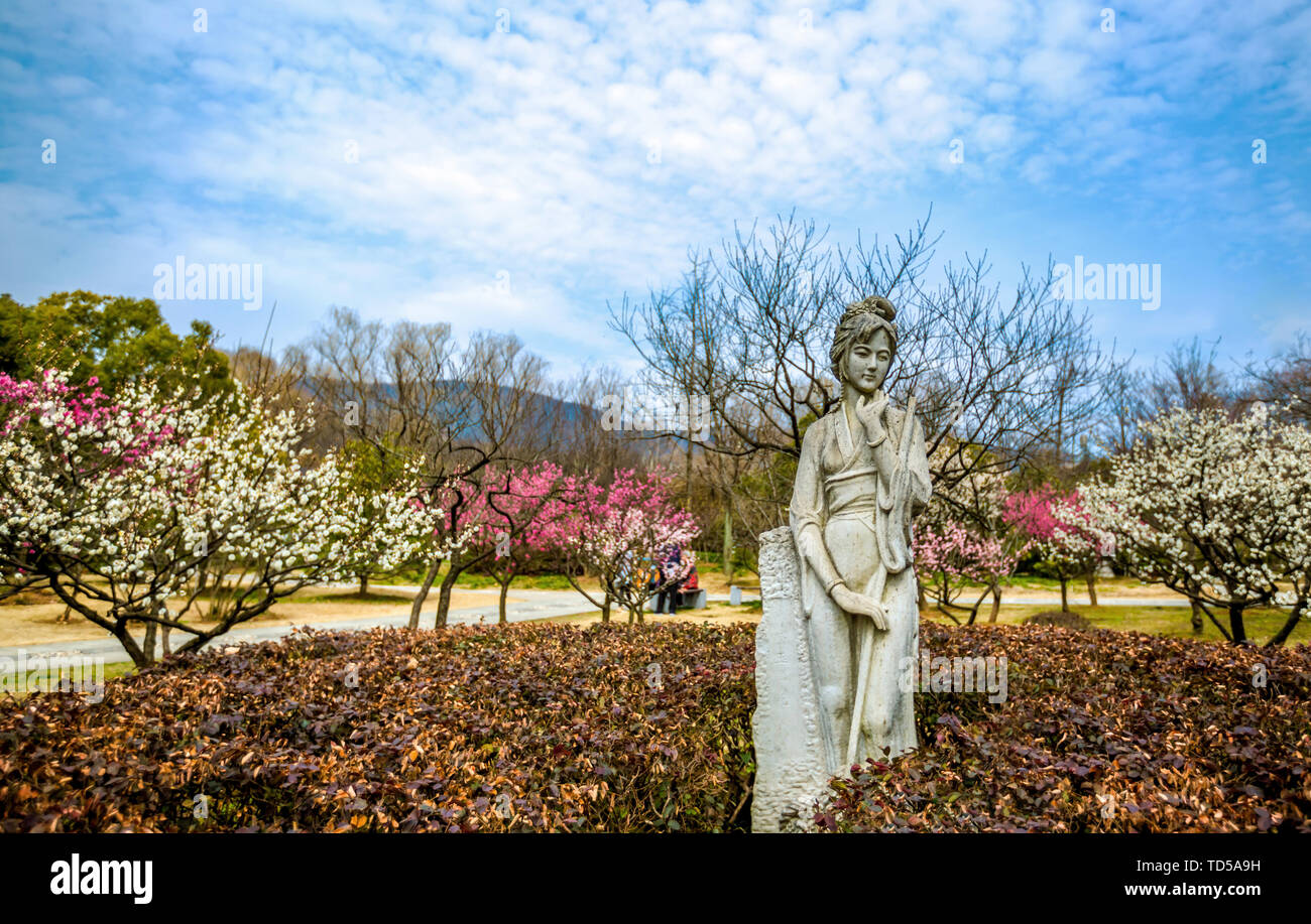 Daiyu hi-res stock photography and images - Alamy