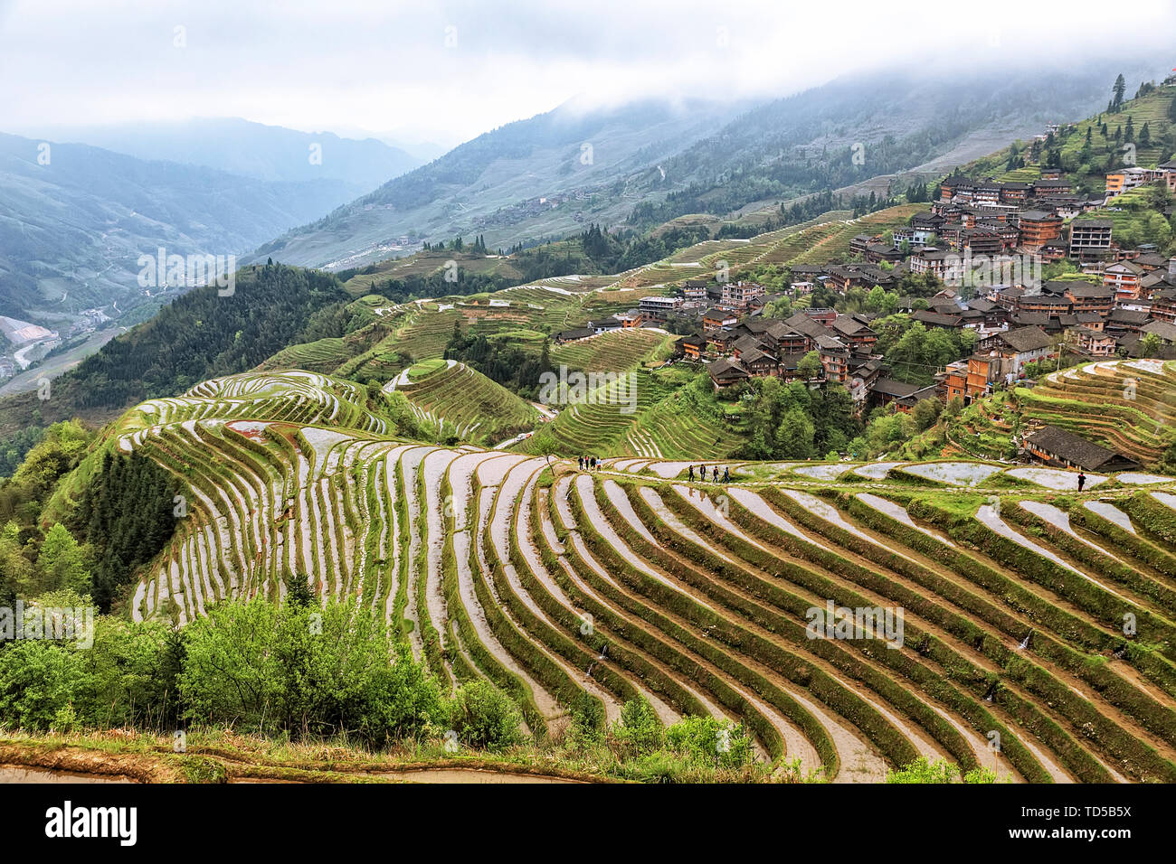 Terraced courtyards hi-res stock photography and images - Alamy