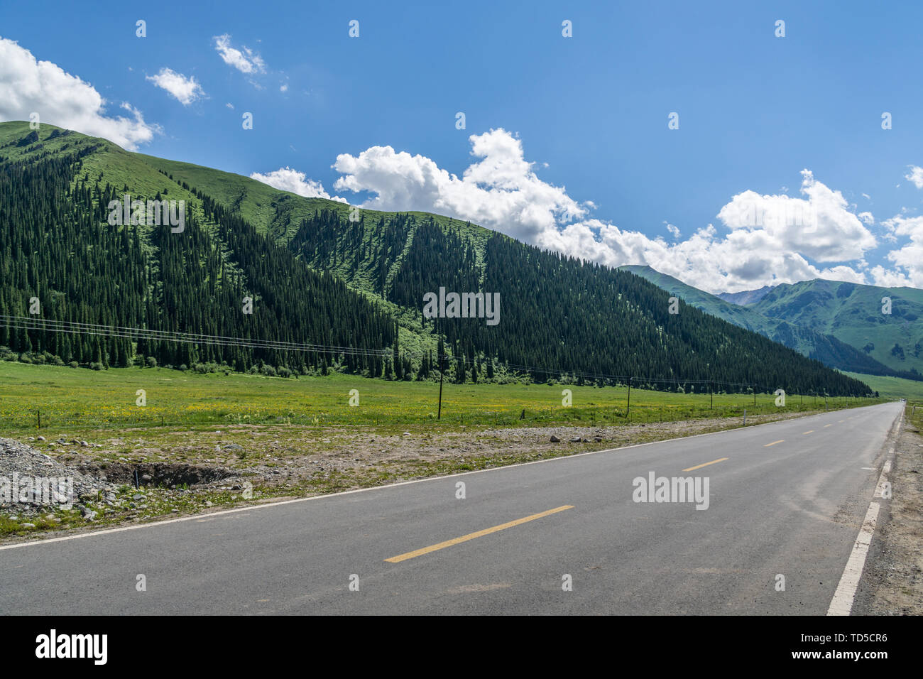 G217 Duku Highway in Alpine Forest under Summer Blue Sky and White ...