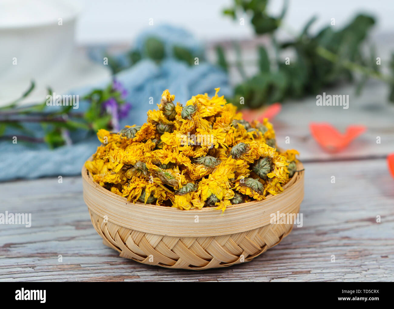 Fetal chrysanthemum hi-res stock photography and images - Alamy