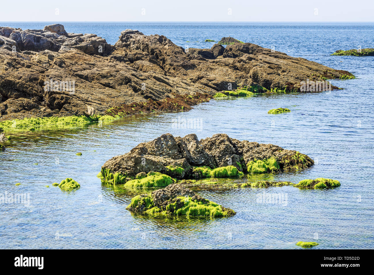 The blue sea Stock Photo - Alamy