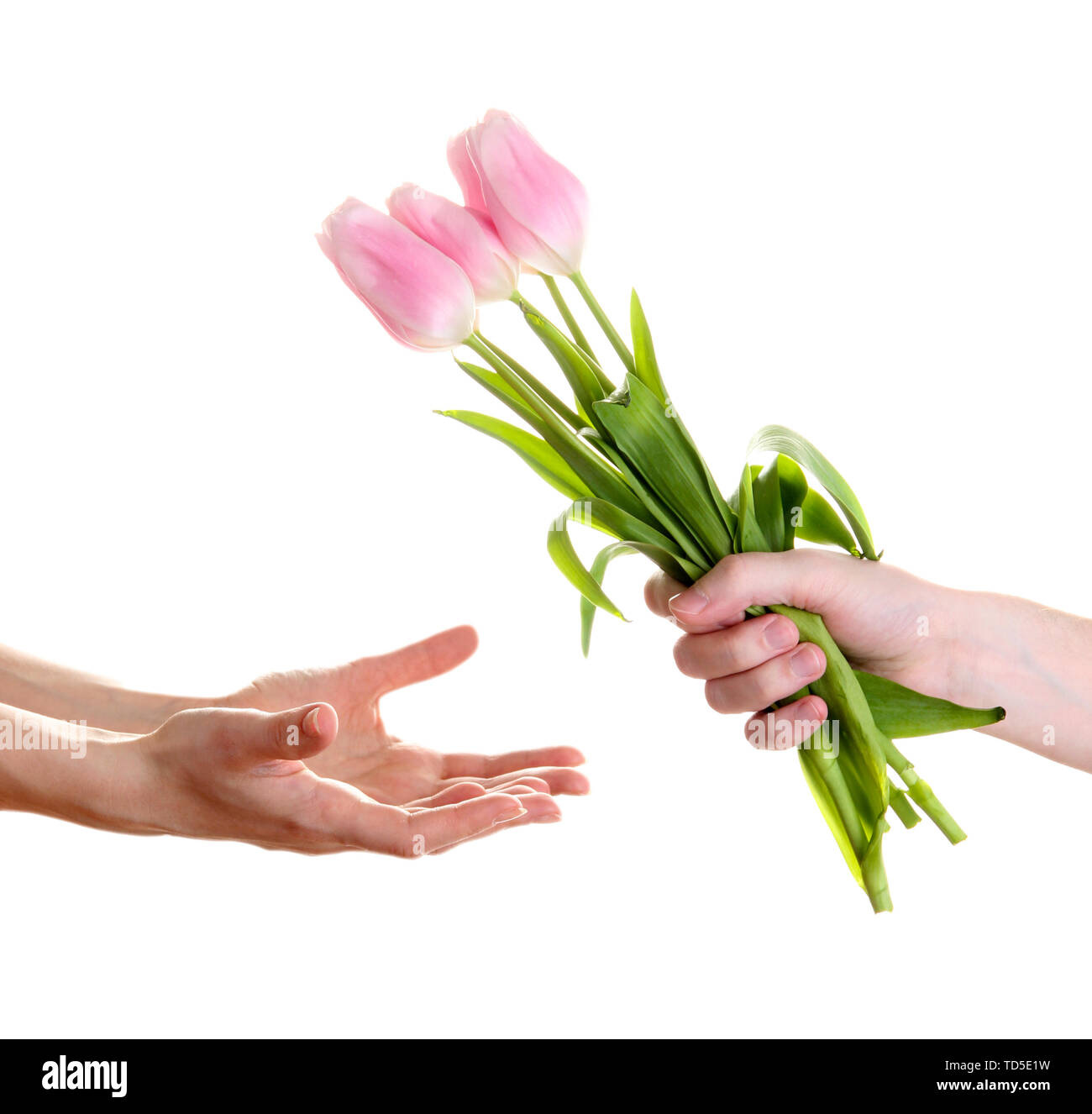Mans hand giving woman's hand a flower bouquet with tulips, isolated on ...