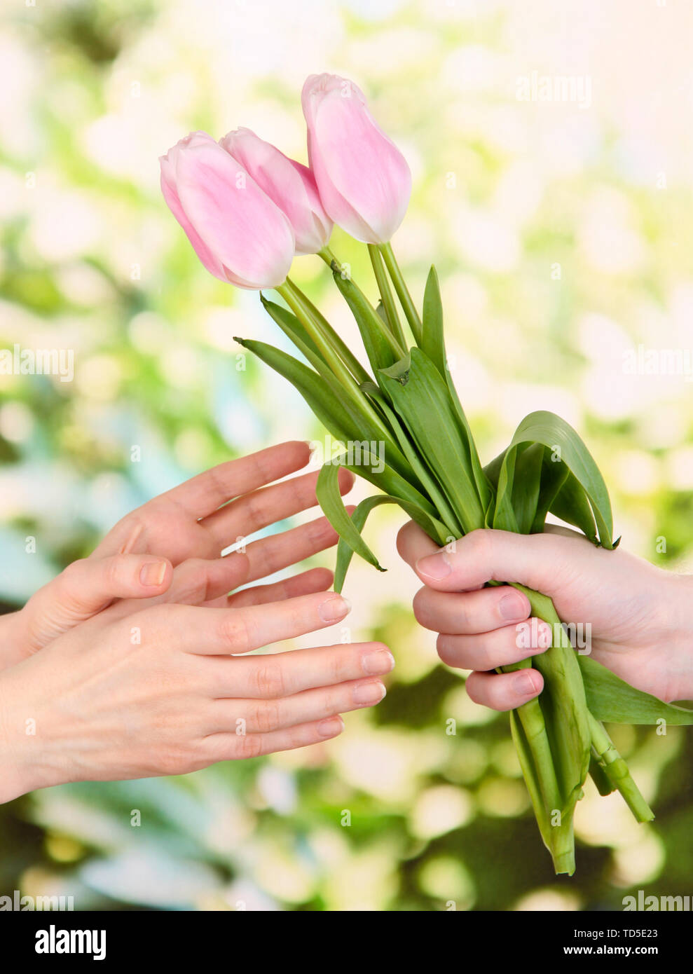 Male hand giving bouquet many hi-res stock photography and images - Alamy