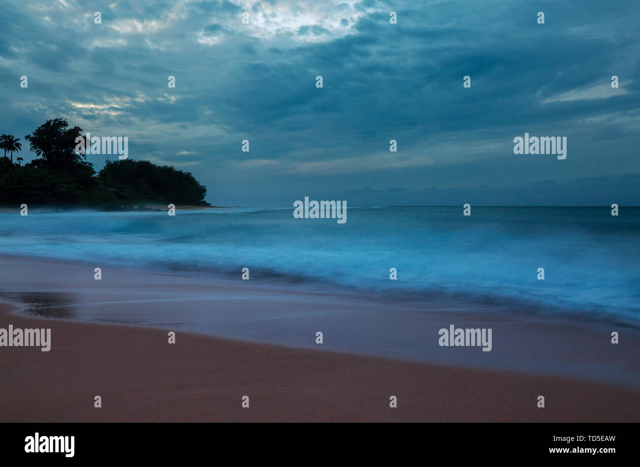 Amazing hawaiian beach. Wave in ocean at sunset or sunrise with surfer ...