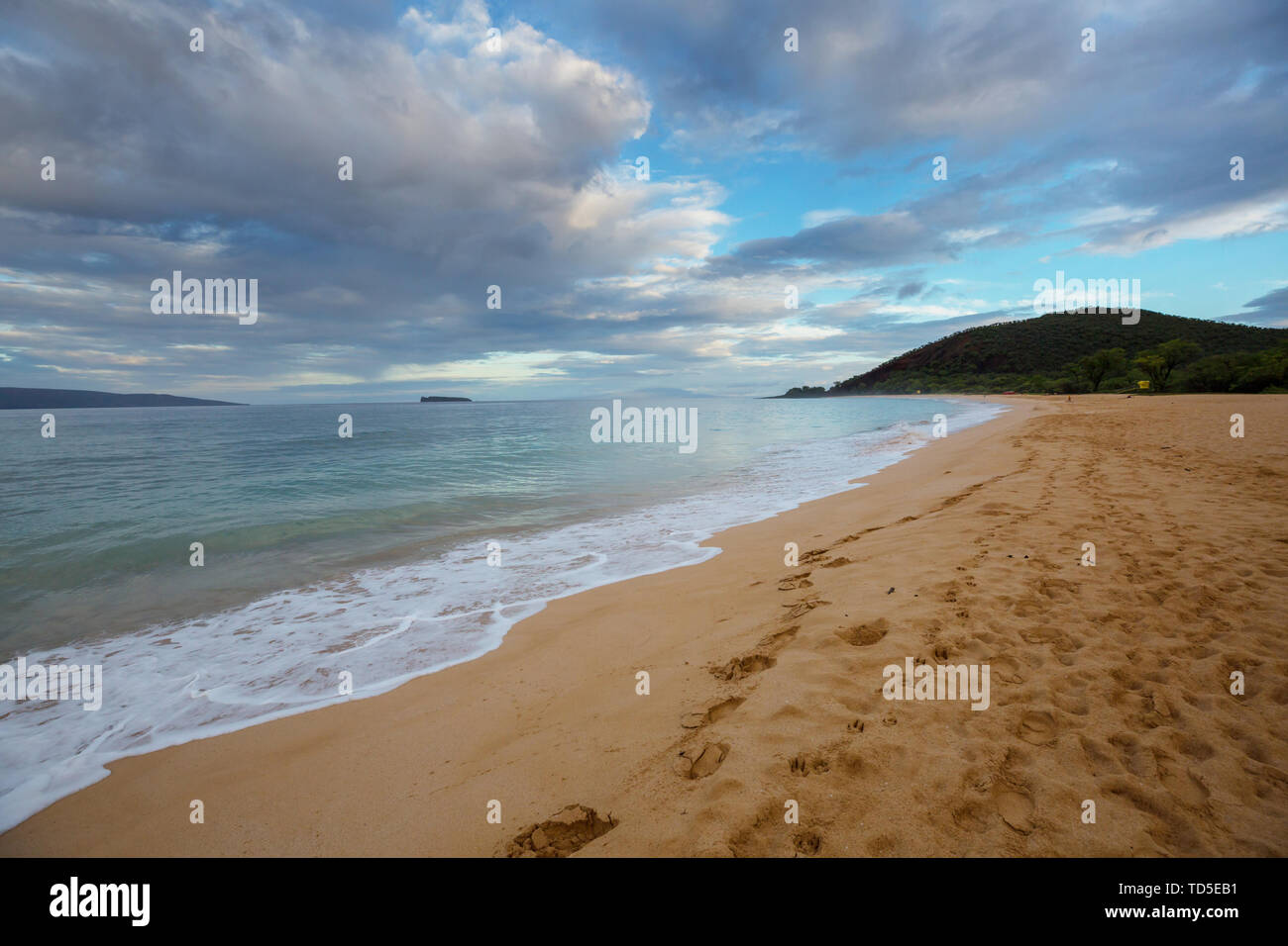 Amazing hawaiian beach. Wave in ocean at sunset or sunrise with surfer ...