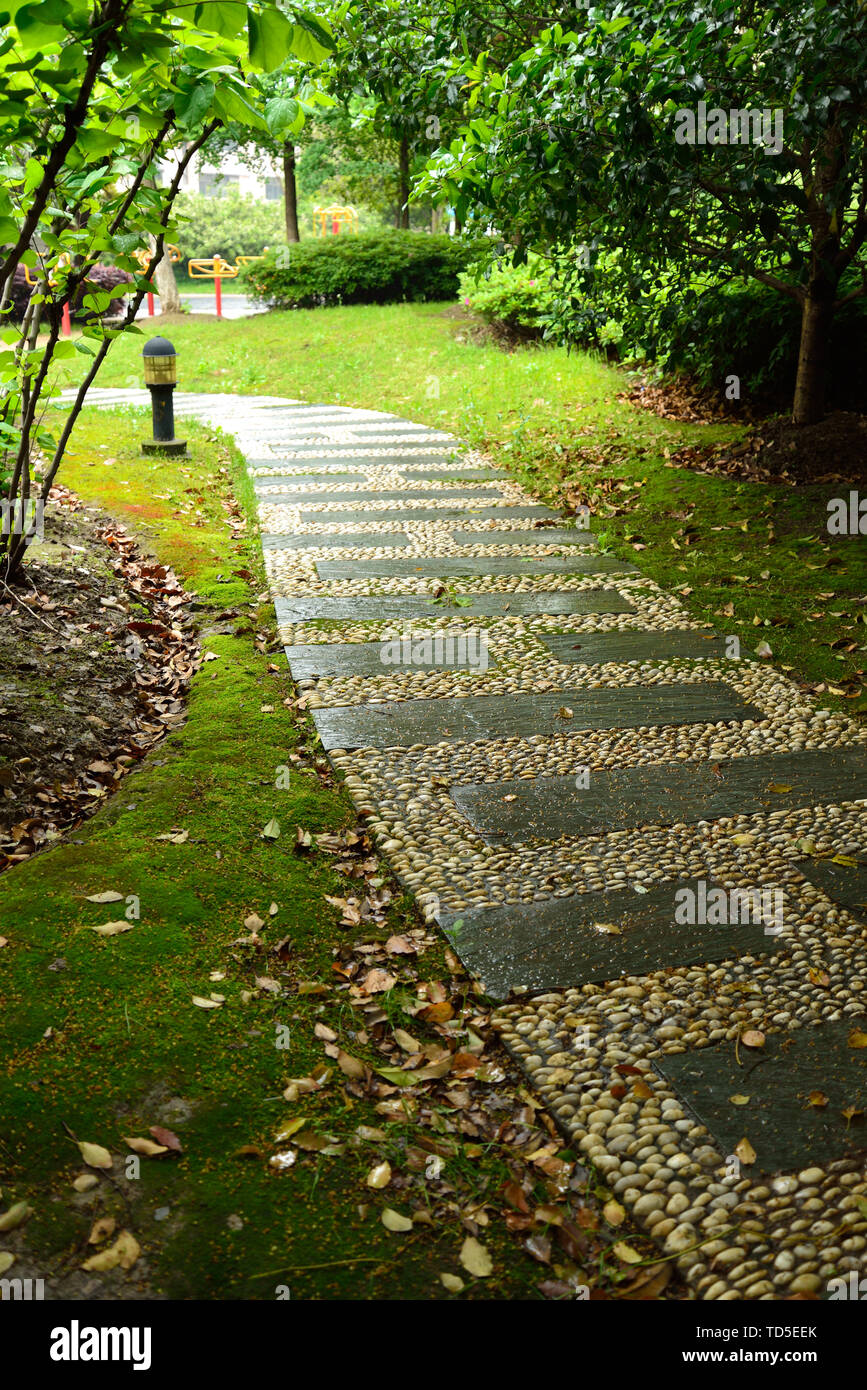 Leafs garden garden guide guide path park park nature hi-res stock ...