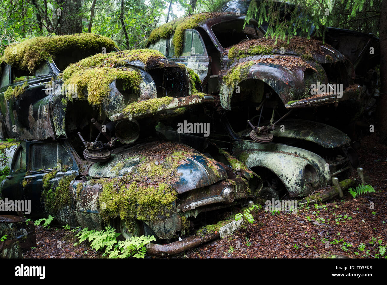 Car cemetery hi-res stock photography and images - Alamy
