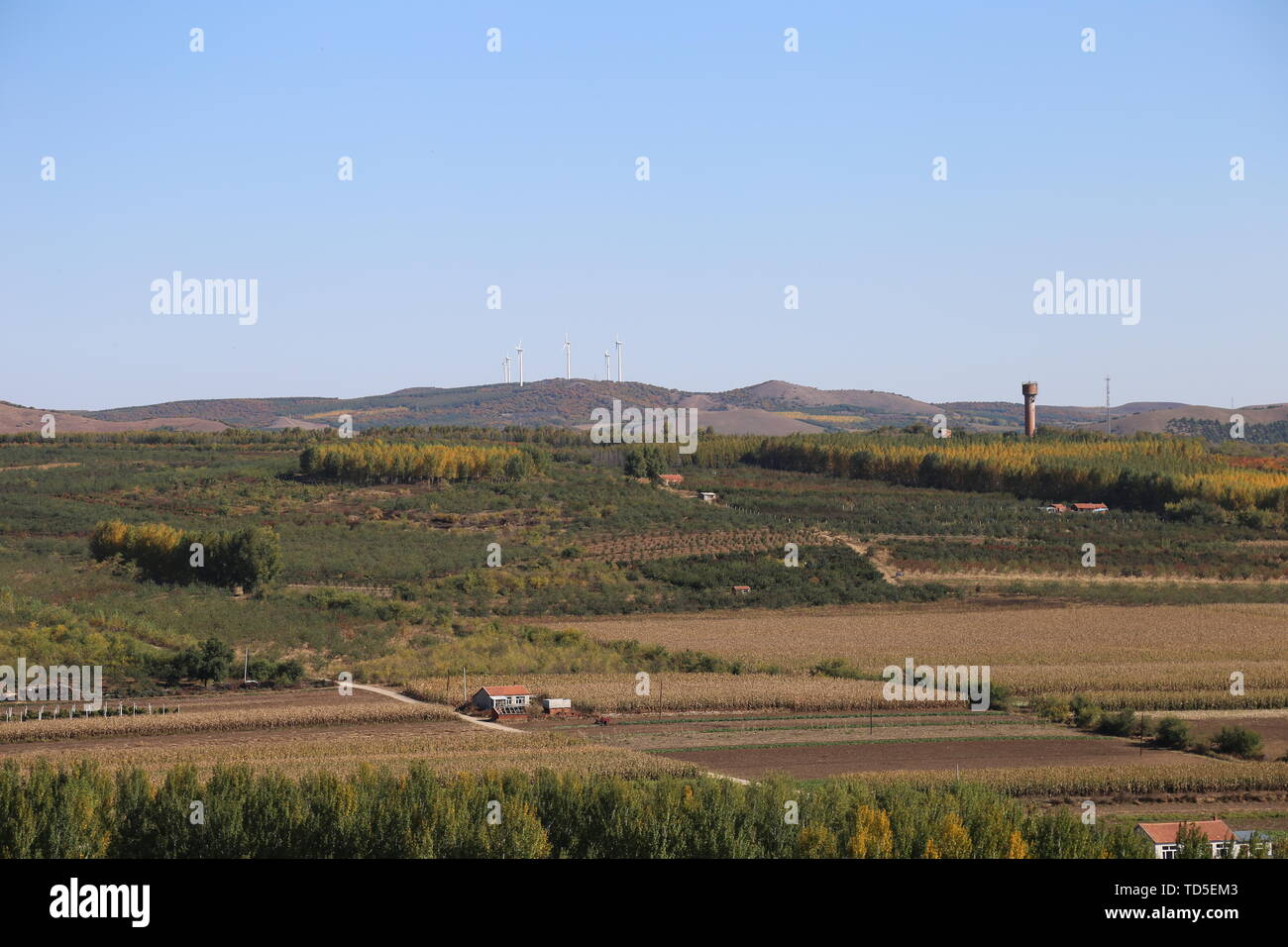 Photographed in Lunzishan, Qiqihar Stock Photo - Alamy