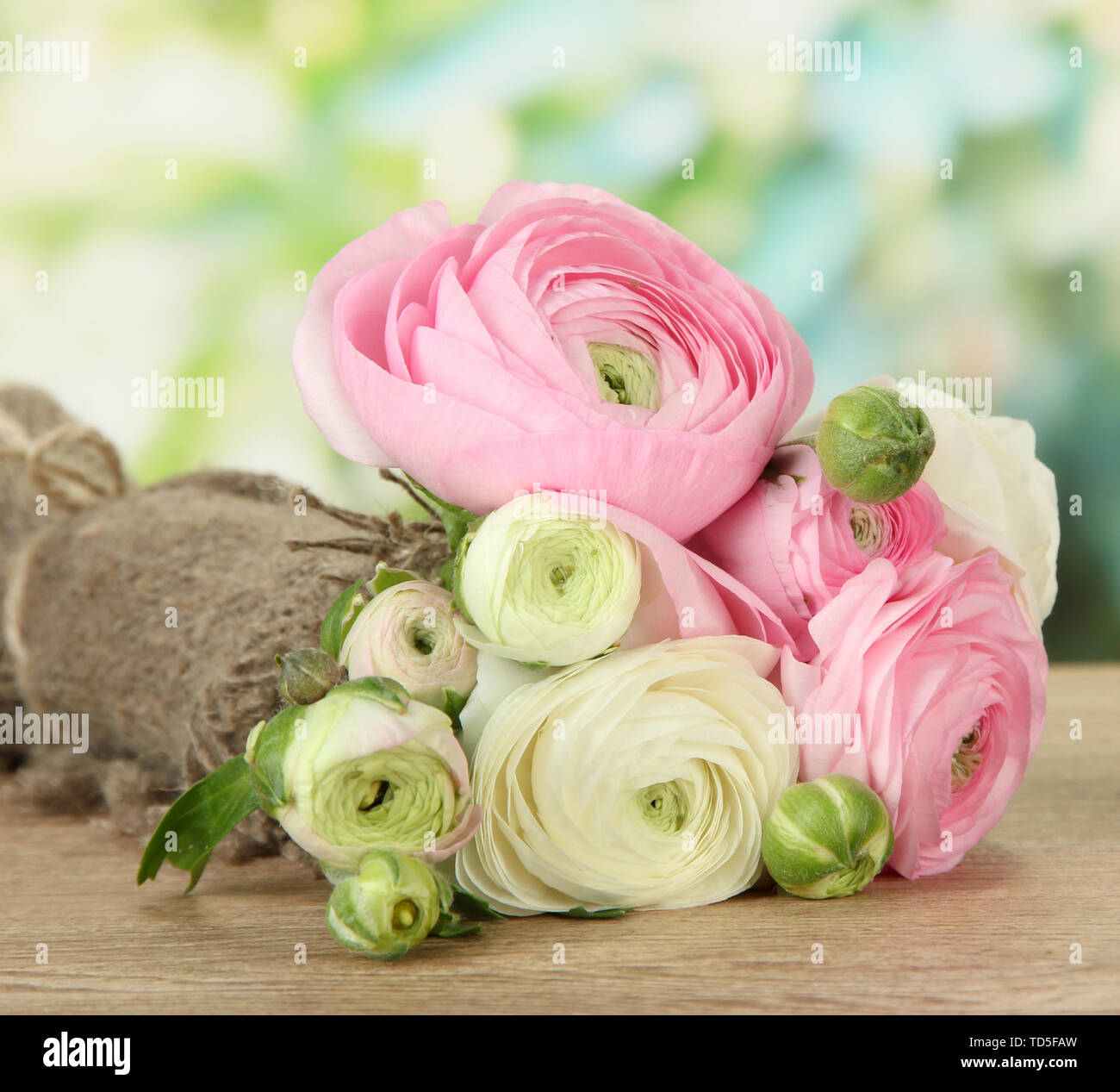 Ranunculus (persian buttercups) on green background Stock Photo - Alamy