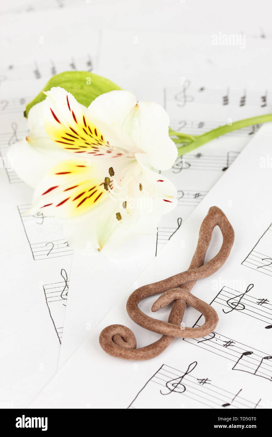 Treble clef and flower on musical background Stock Photo - Alamy