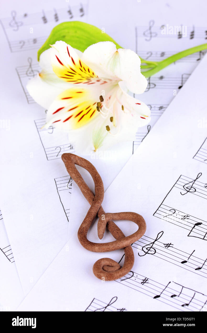 Treble clef and flower on musical background Stock Photo - Alamy