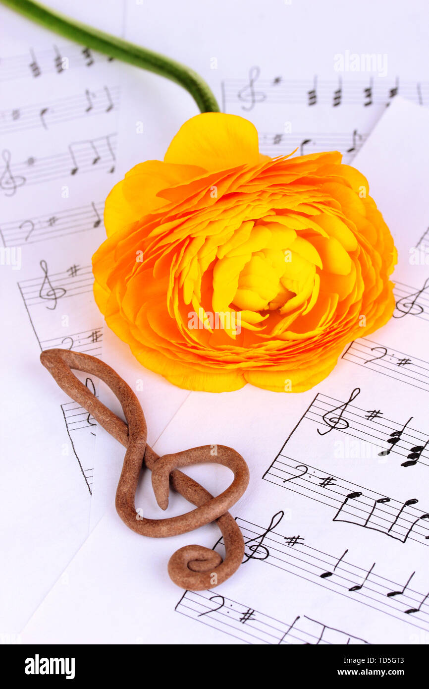 Treble clef and flower on musical background Stock Photo - Alamy