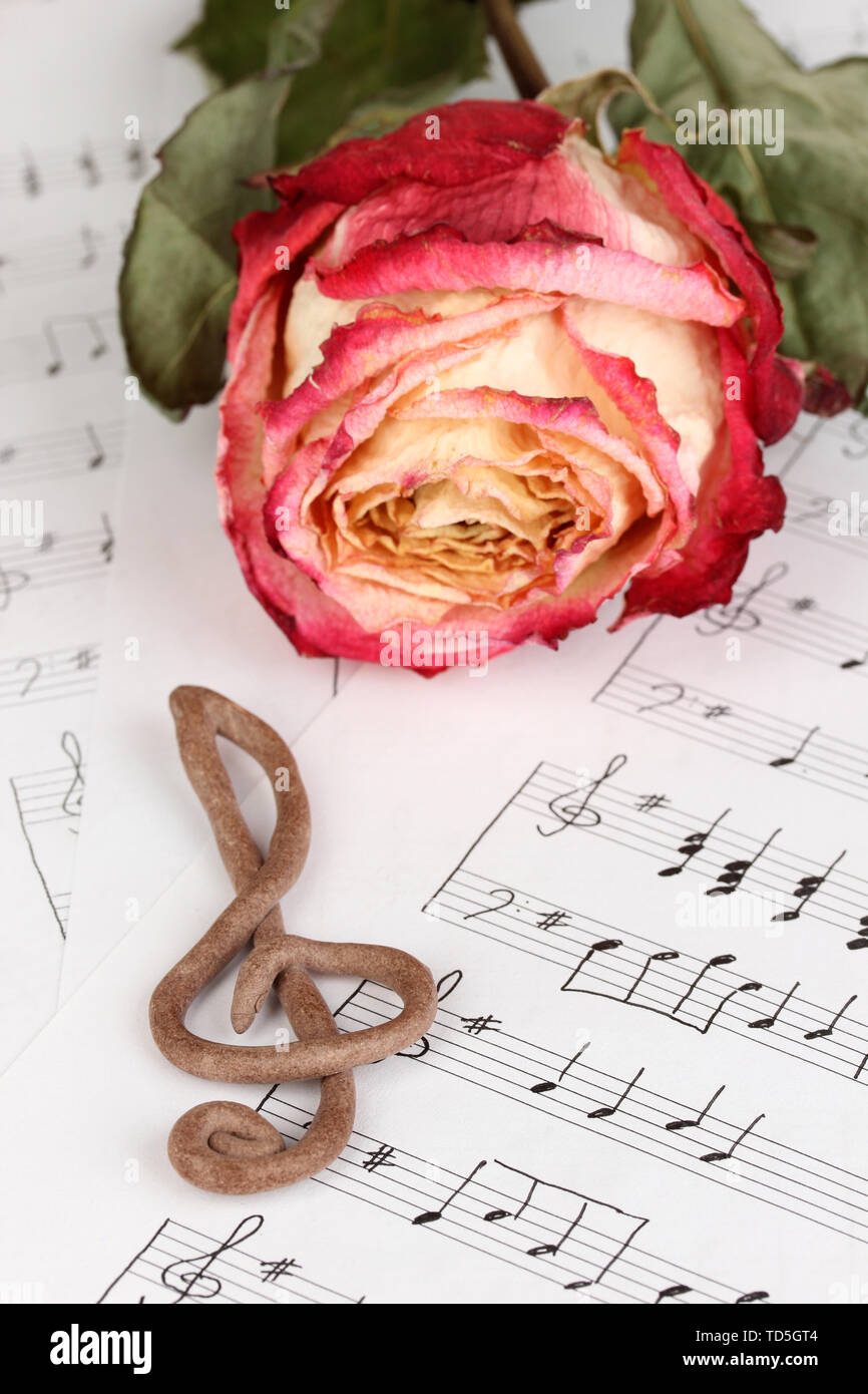 Treble clef and rose on musical background Stock Photo - Alamy