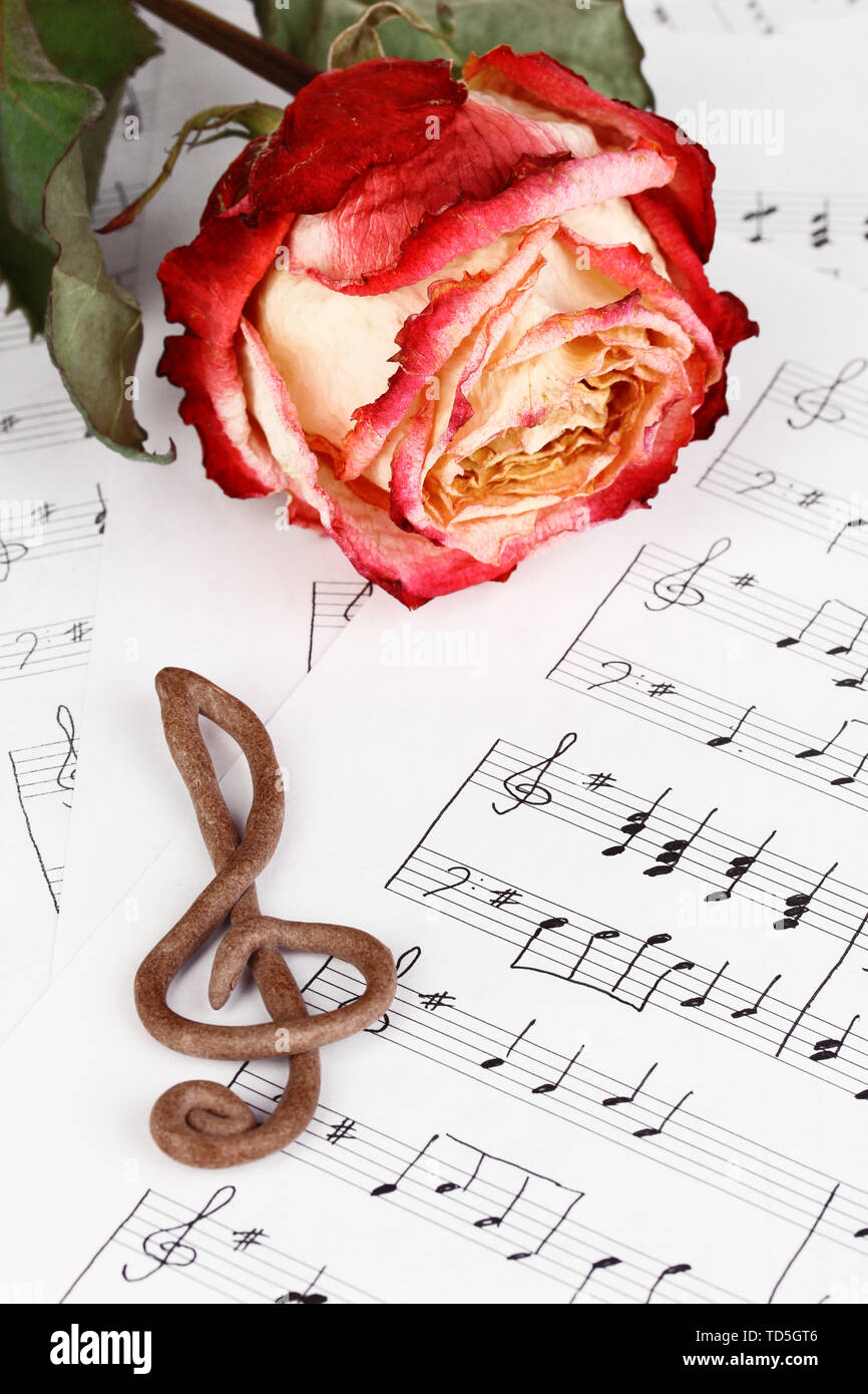 Treble clef and rose on musical background Stock Photo - Alamy