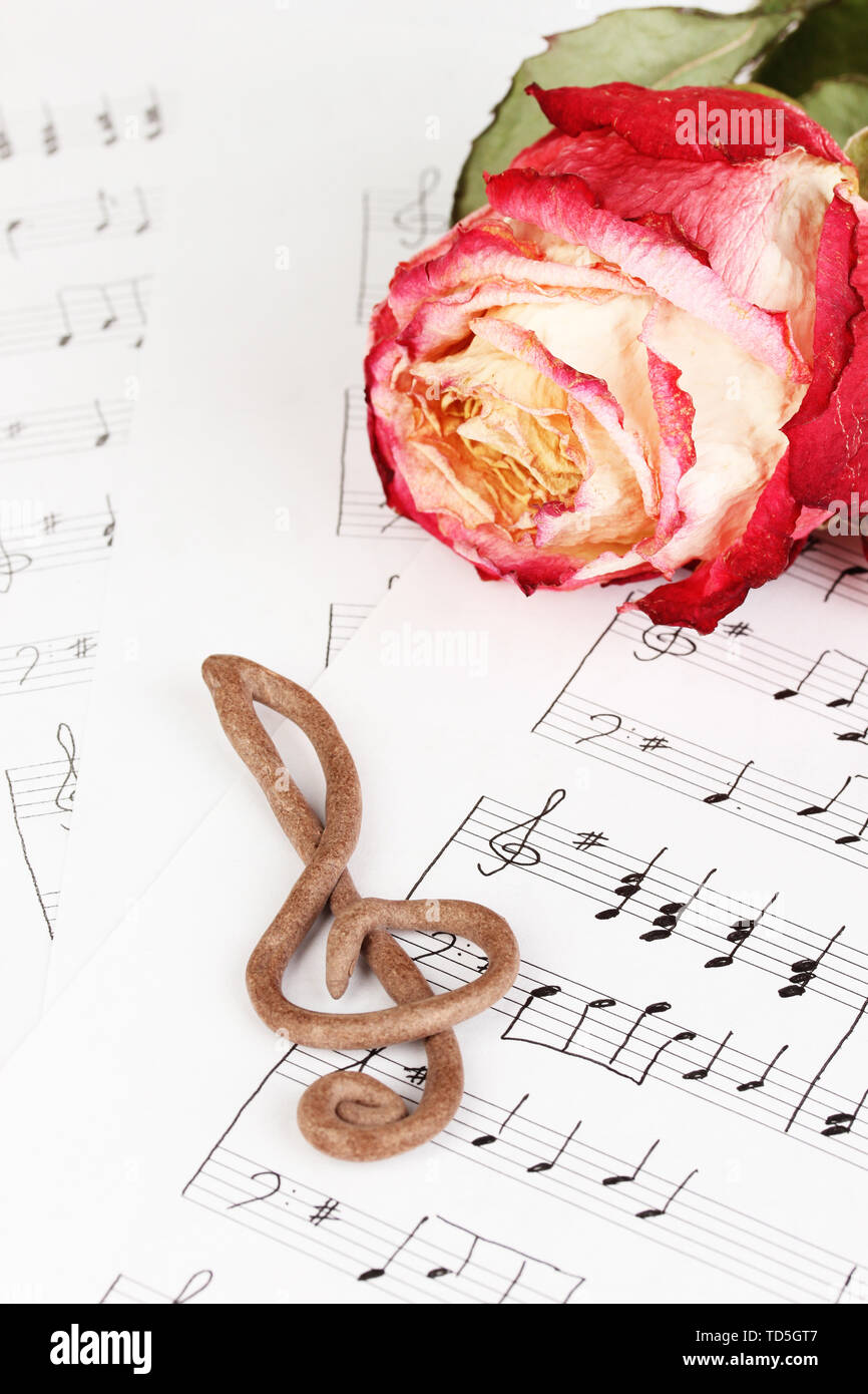 Treble clef and rose on musical background Stock Photo - Alamy
