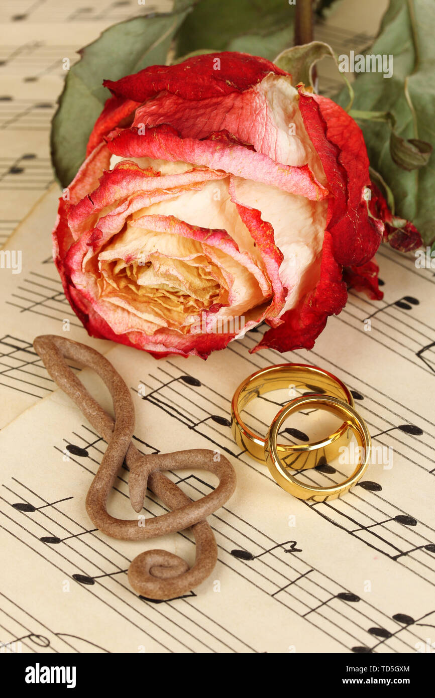 Treble clef, rose and wedding rings on musical background Stock Photo ...