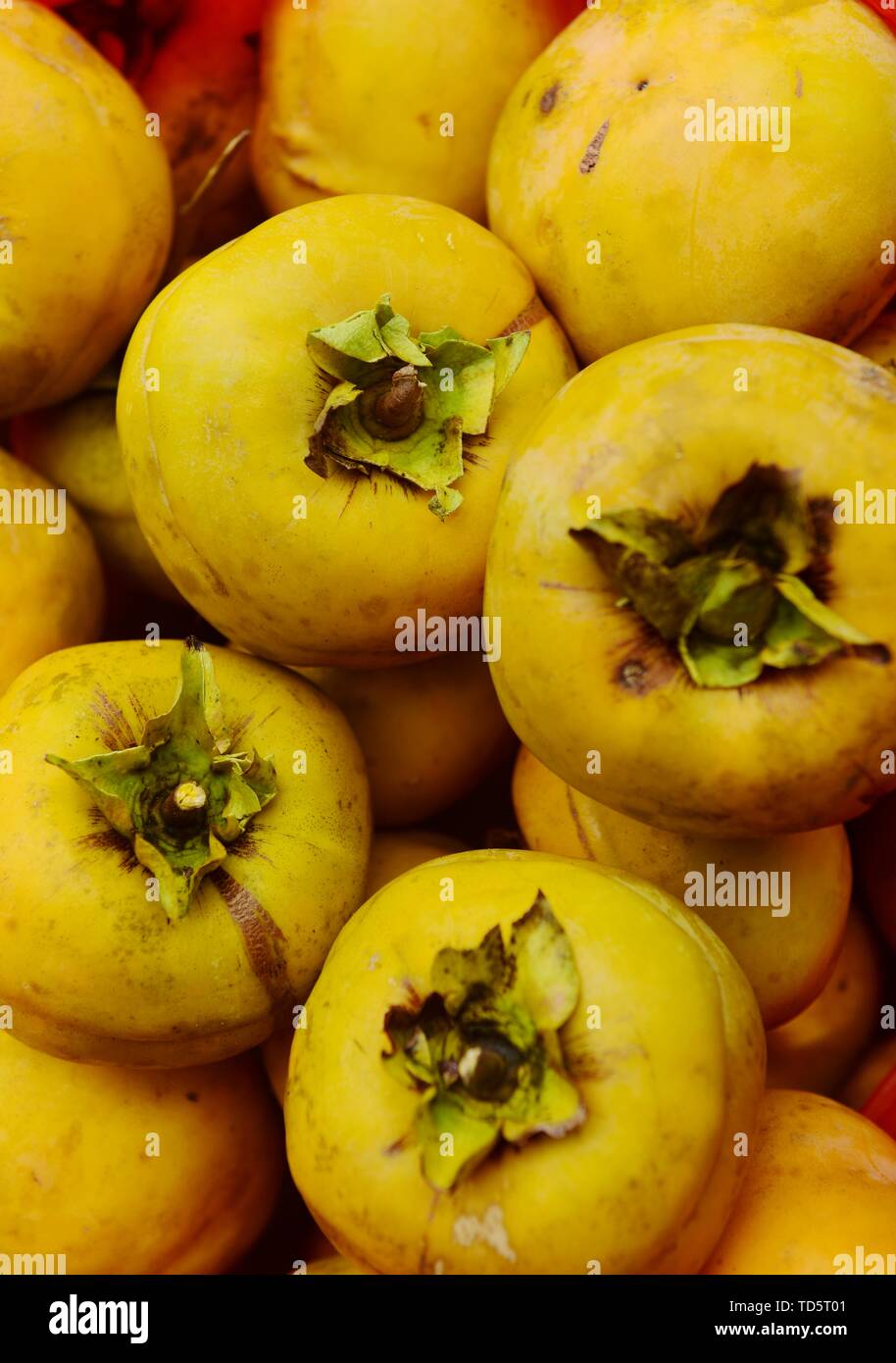 Rhubarb persimmon hi-res stock photography and images - Alamy