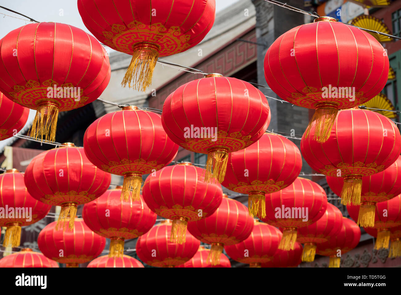 Lanterns beasts hi-res stock photography and images - Alamy