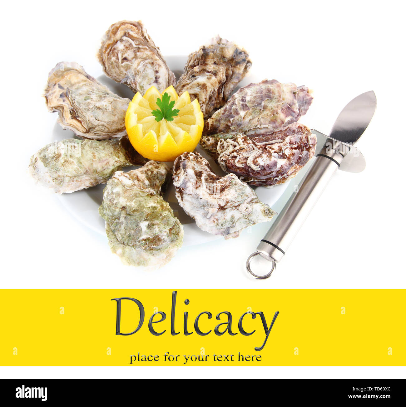 Seafood delicacy fresh oysters Cut Out Stock Images & Pictures - Alamy