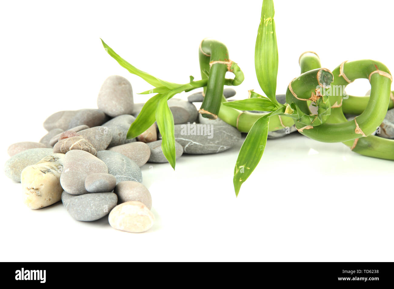 Still life with green bamboo plant and stones, isolated on white Stock ...