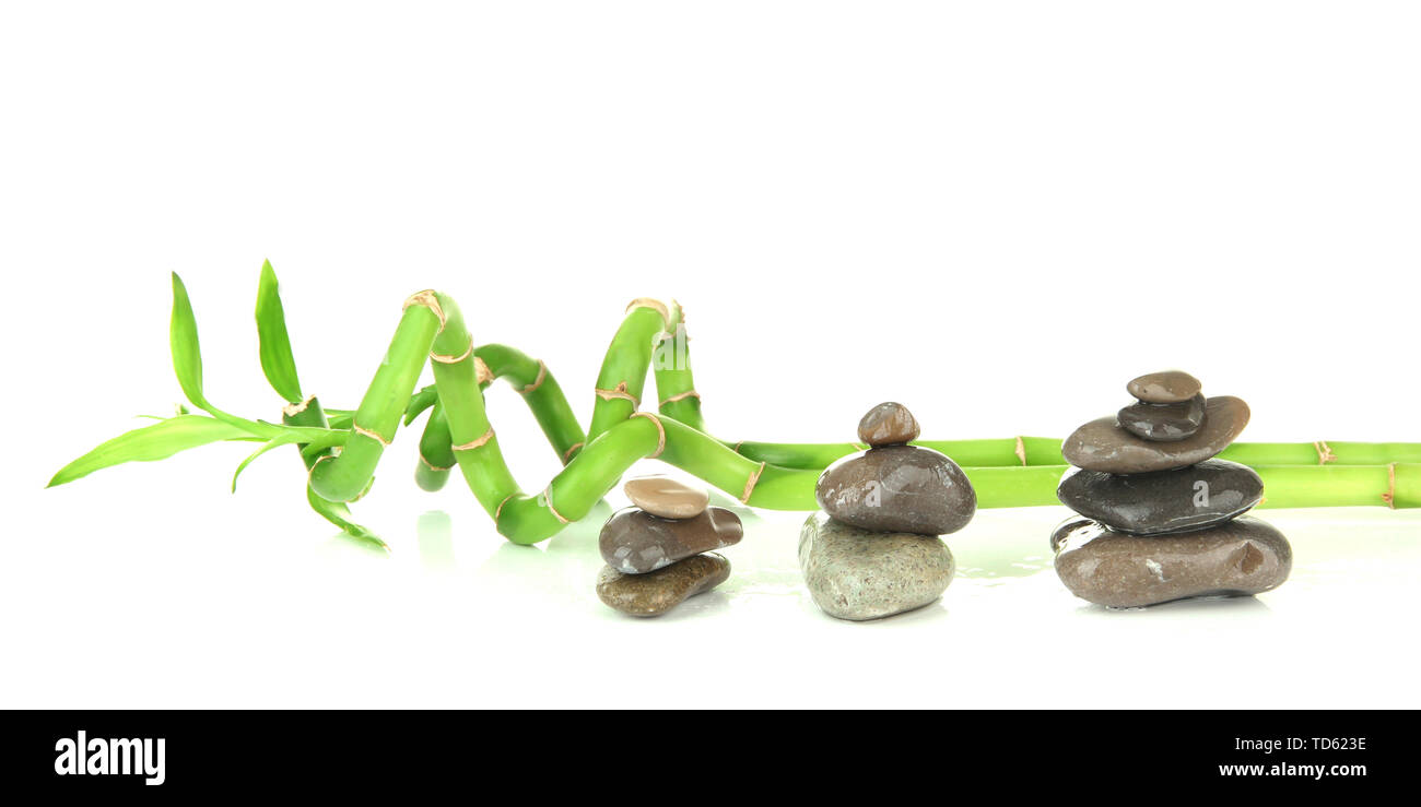 Still life with green bamboo plant and stones, isolated on white Stock ...
