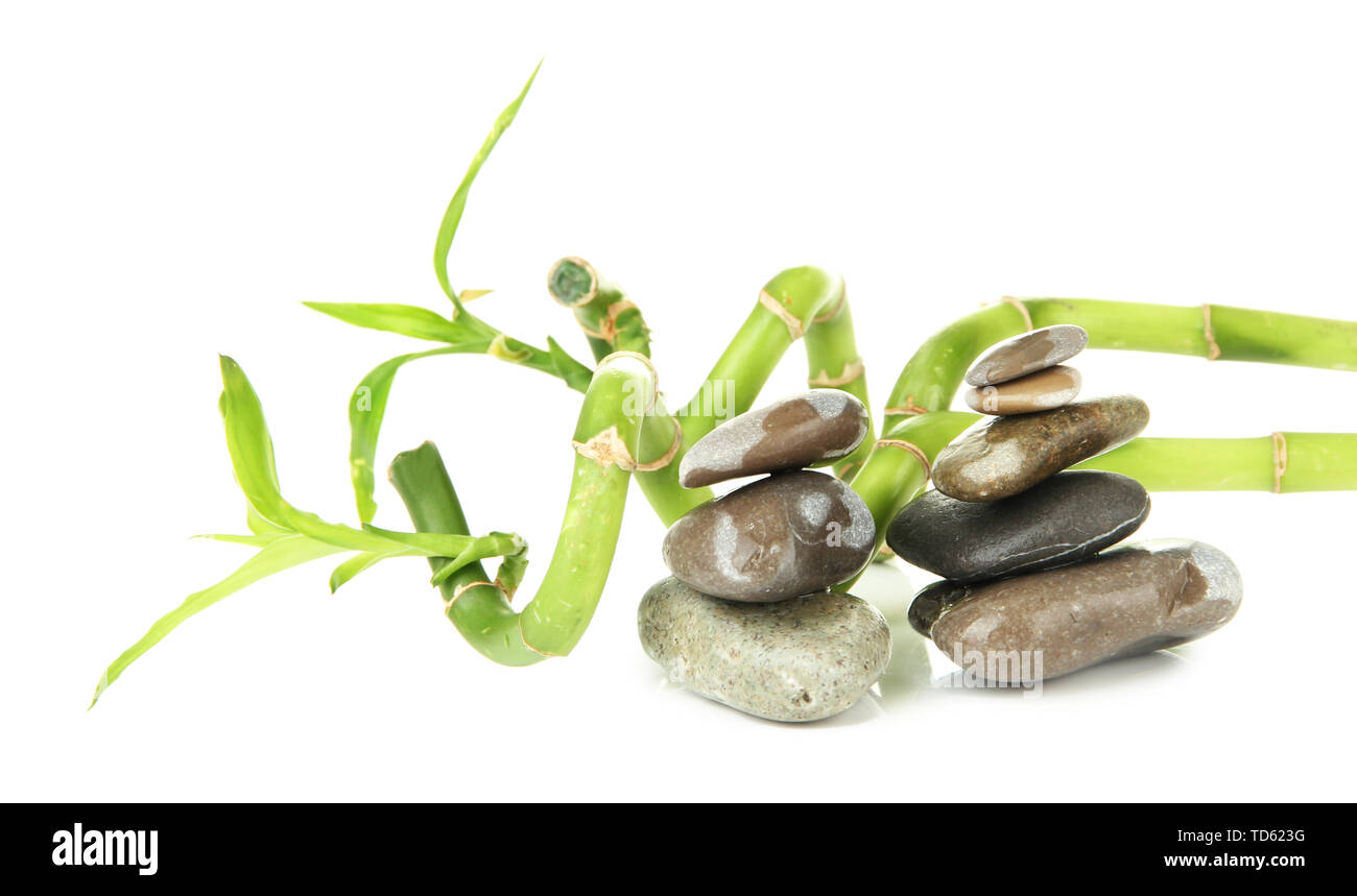 Still life with green bamboo plant and stones, isolated on white Stock ...