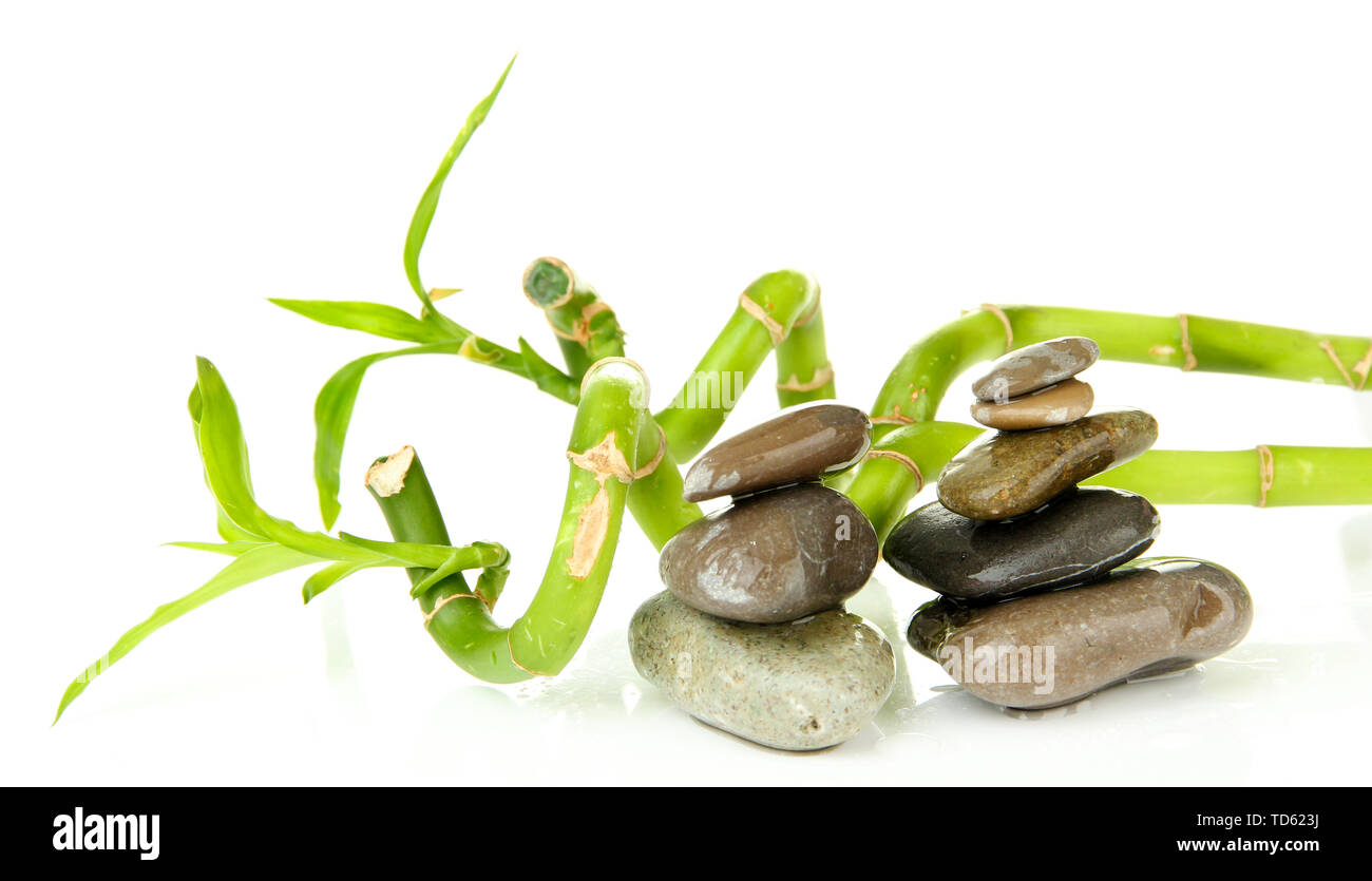 Still life with green bamboo plant and stones, isolated on white Stock ...