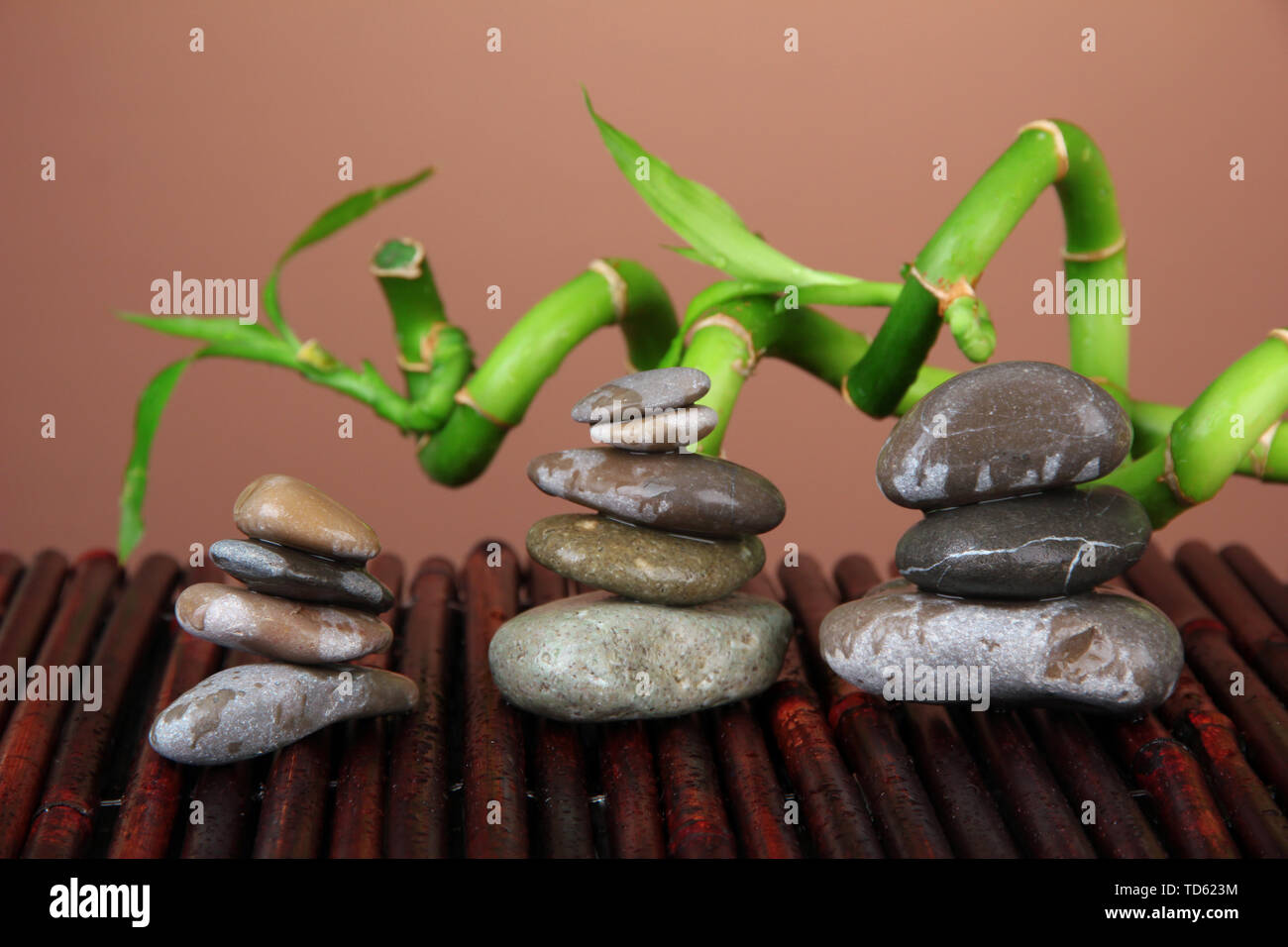 Still life with green bamboo plant and stones, on bamboo mat on color ...