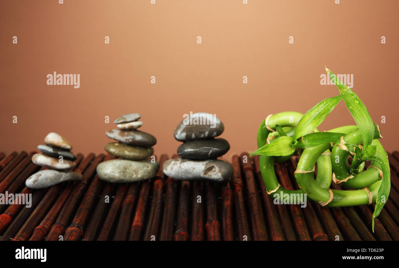 Still life with green bamboo plant and stones, on bamboo mat on color ...