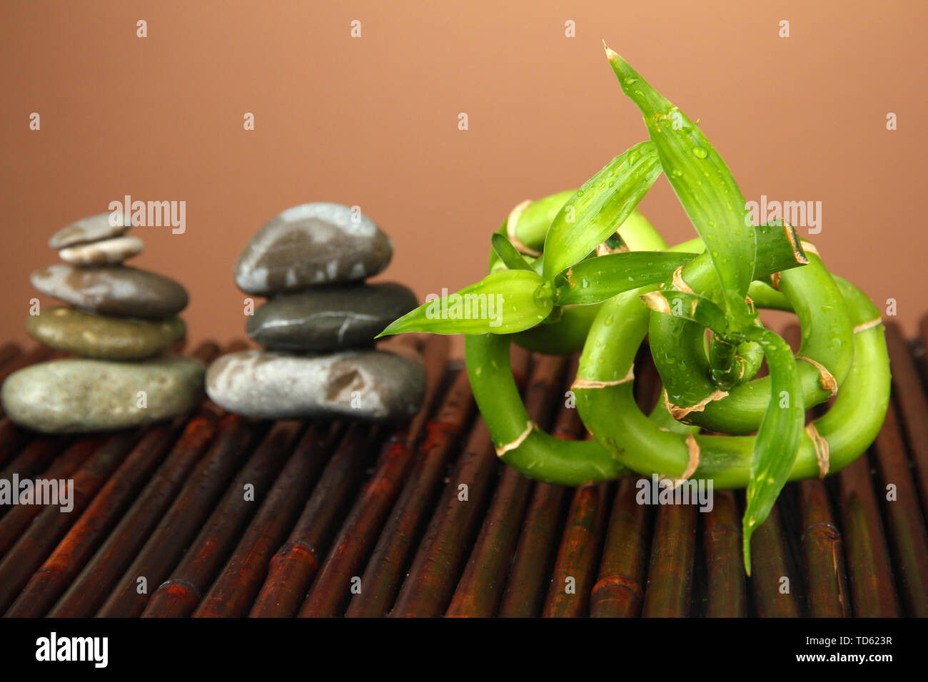 Still life with green bamboo plant and stones, on bamboo mat on color ...