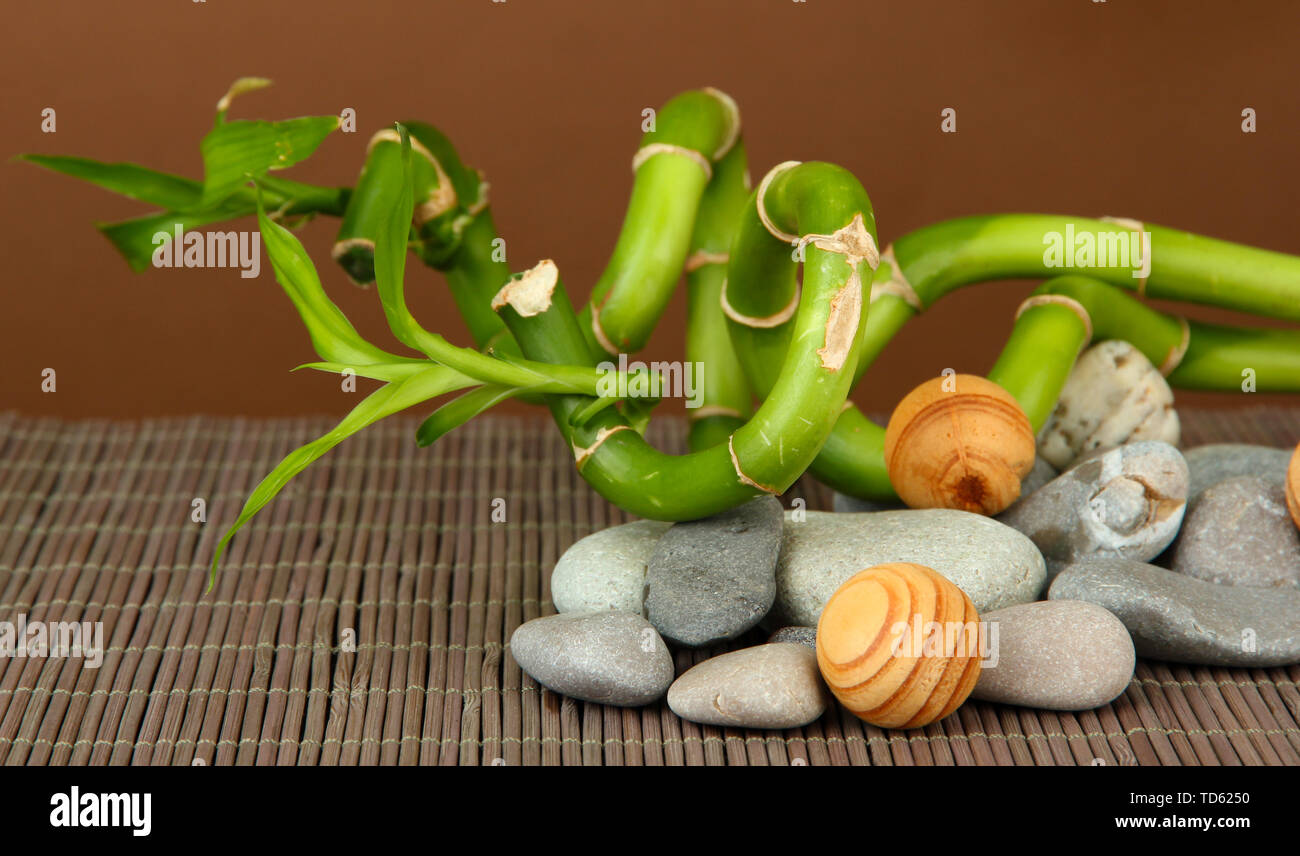 Still life with green bamboo plant and stones, on bamboo mat on color ...