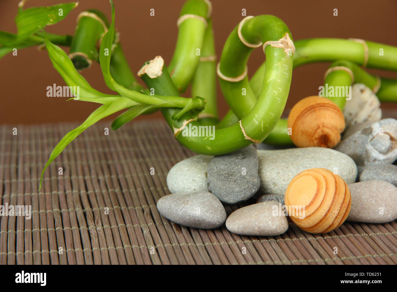 Still life with green bamboo plant and stones, on bamboo mat on color ...