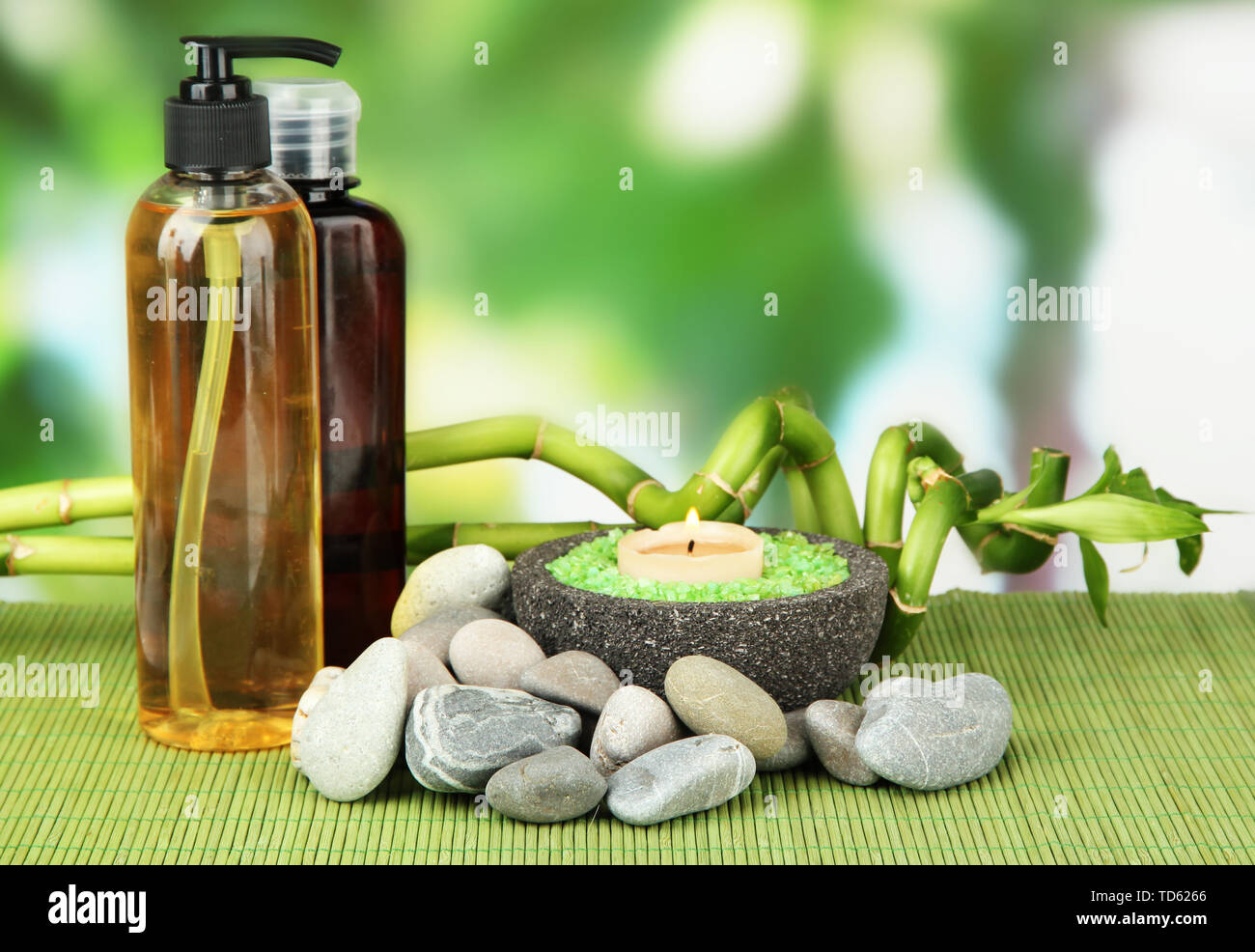 Still life with green bamboo plant and stones, on bamboo mat, on bright ...