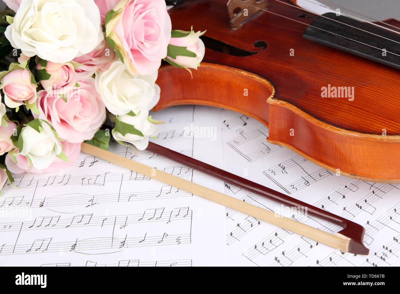 Violin roses hi-res stock photography and images - Alamy