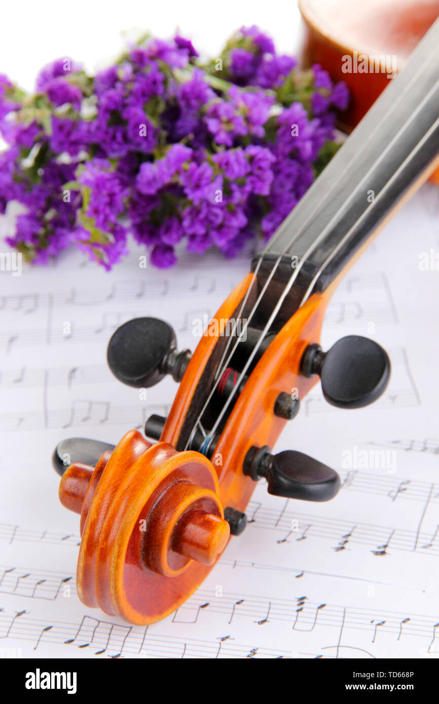 Classical violin with flowers on notes Stock Photo - Alamy