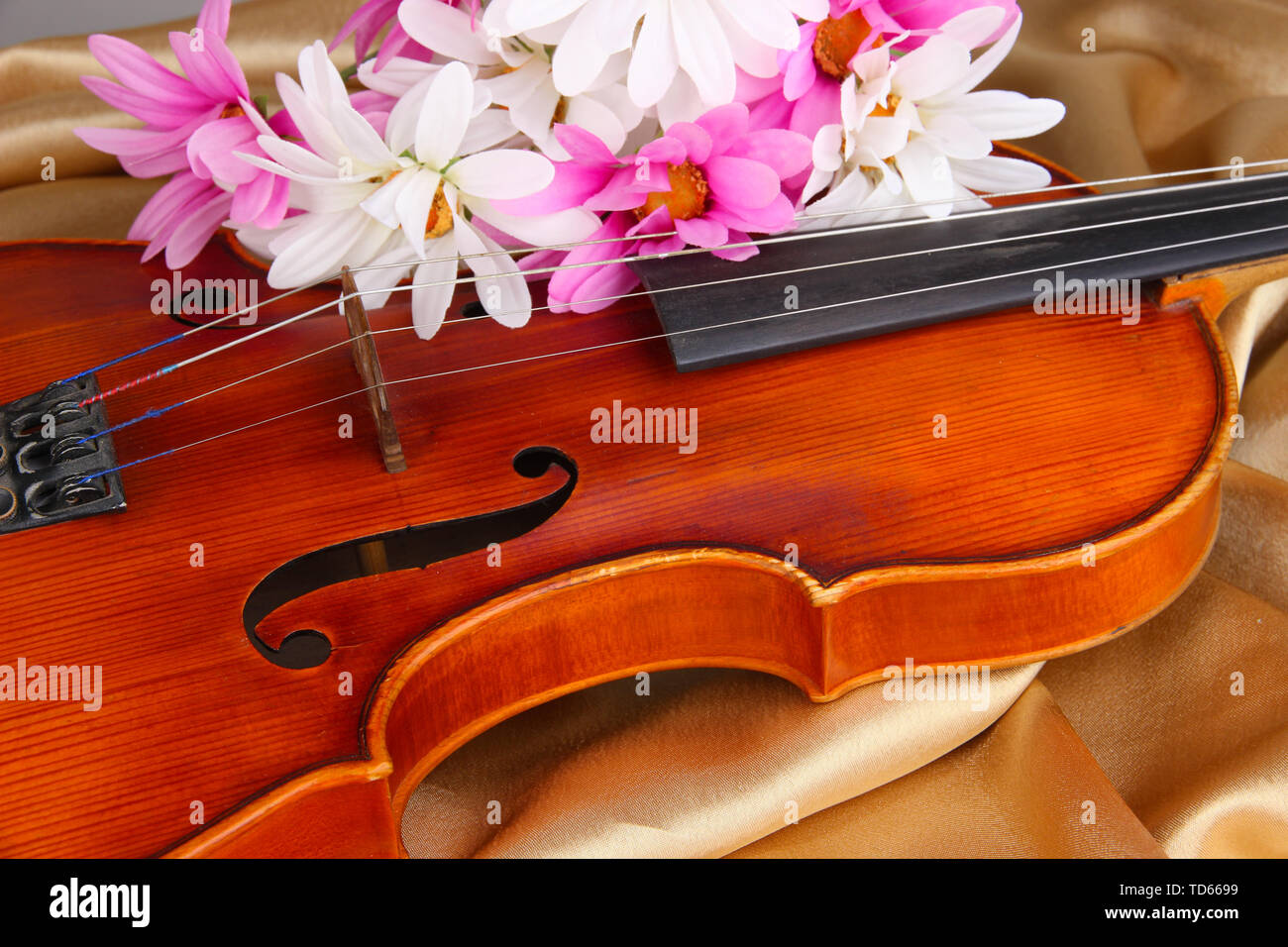 Classical violin on fabric background Stock Photo - Alamy