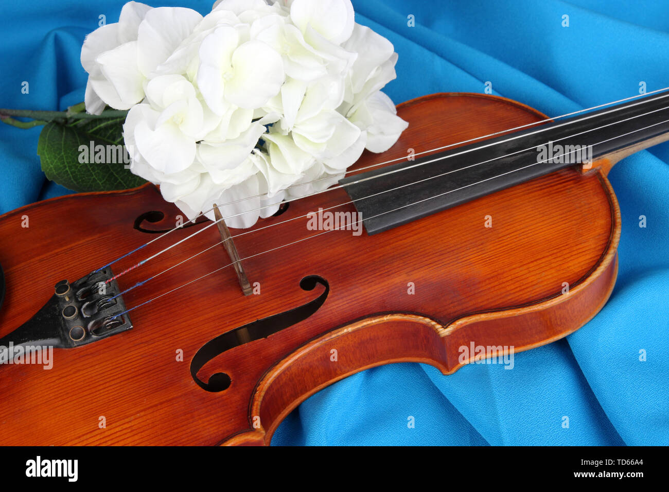 Classical violin on fabric background Stock Photo - Alamy