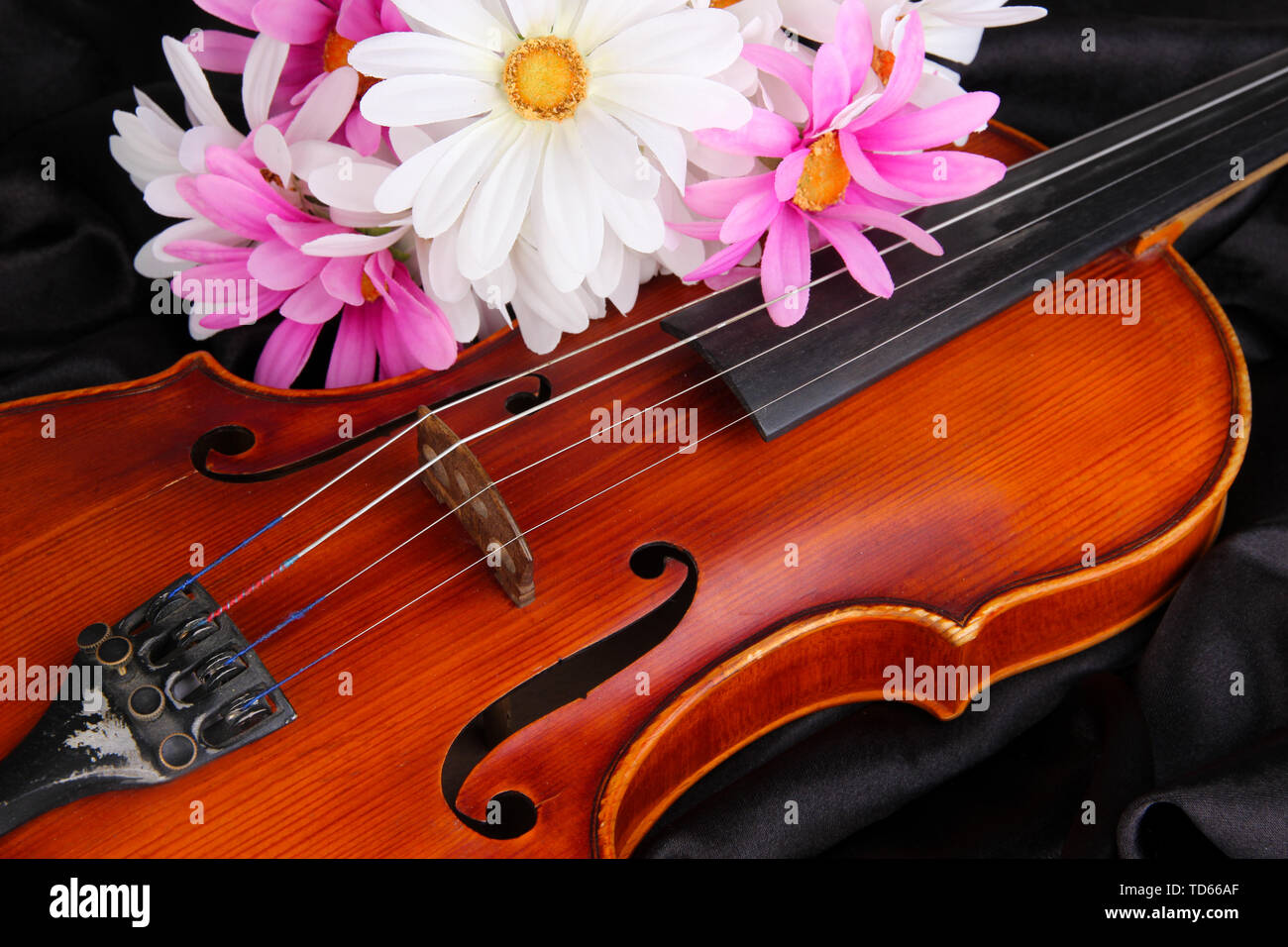 Classical violin on fabric background Stock Photo - Alamy