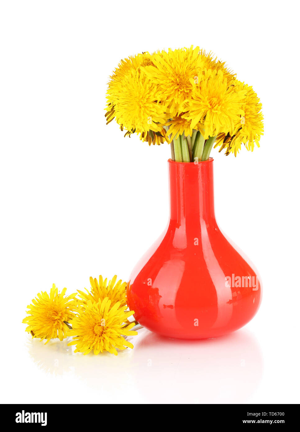 Dandelion flowers in vase isolated on white Stock Photo - Alamy