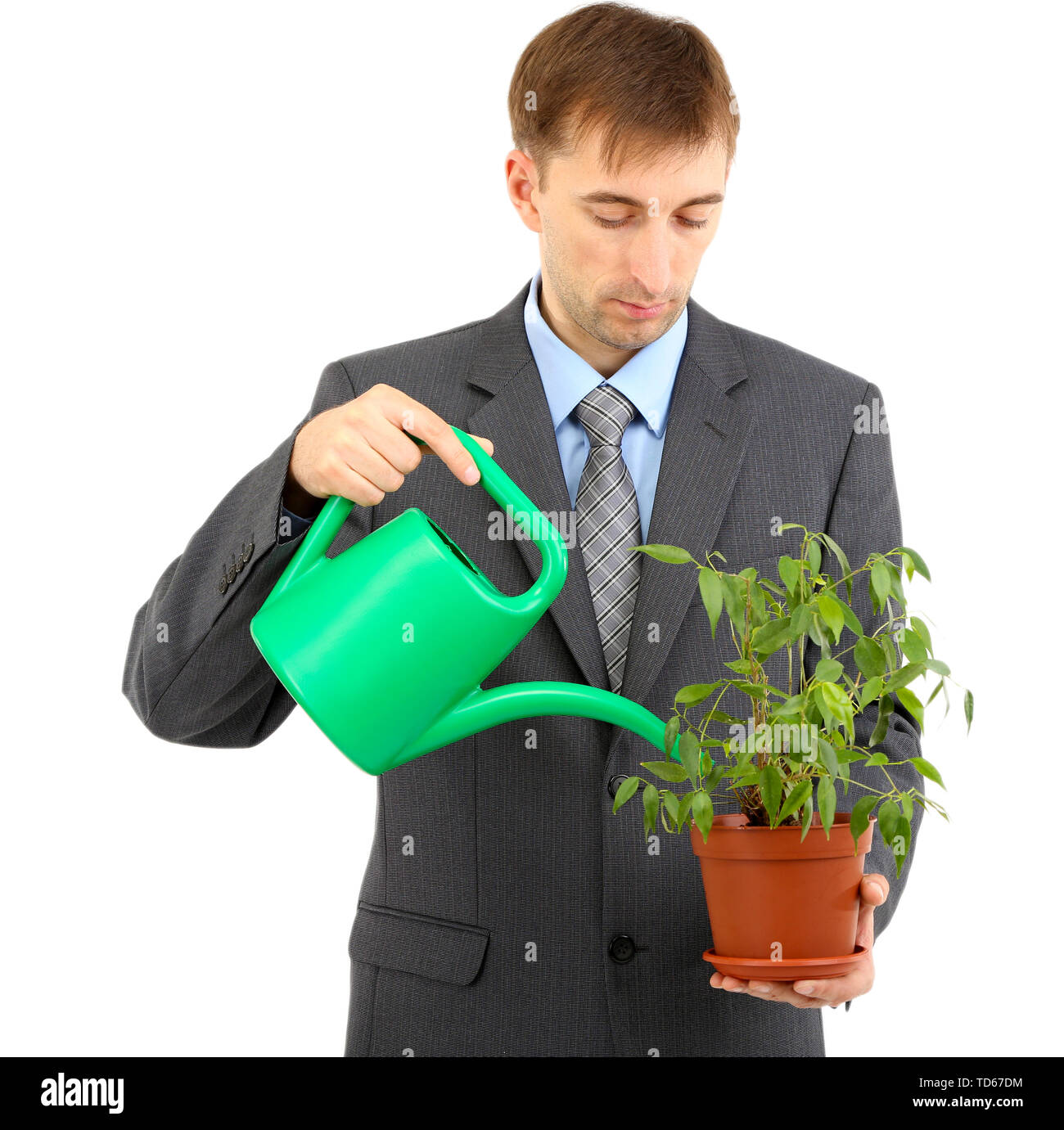 Businessman watering can isolated on hi-res stock photography and ...